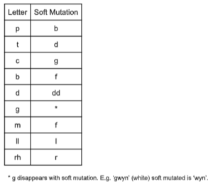 Rhagwenau Rhyfedd- The Wonderful World of Weird Welsh Pronouns – LGBTQ Cymru